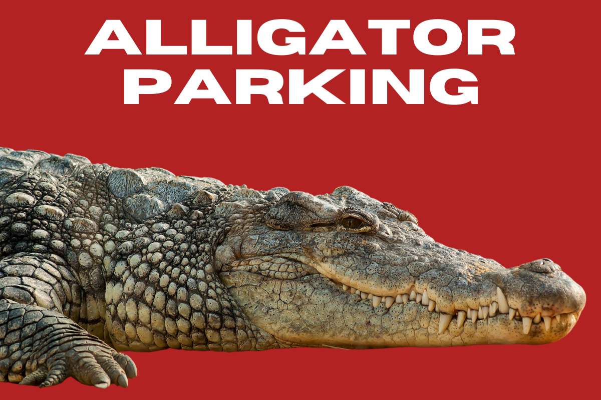 Parking - Historic Downtown Sanford