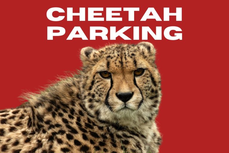 Parking - Historic Downtown Sanford