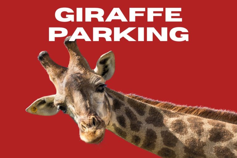 Parking - Historic Downtown Sanford