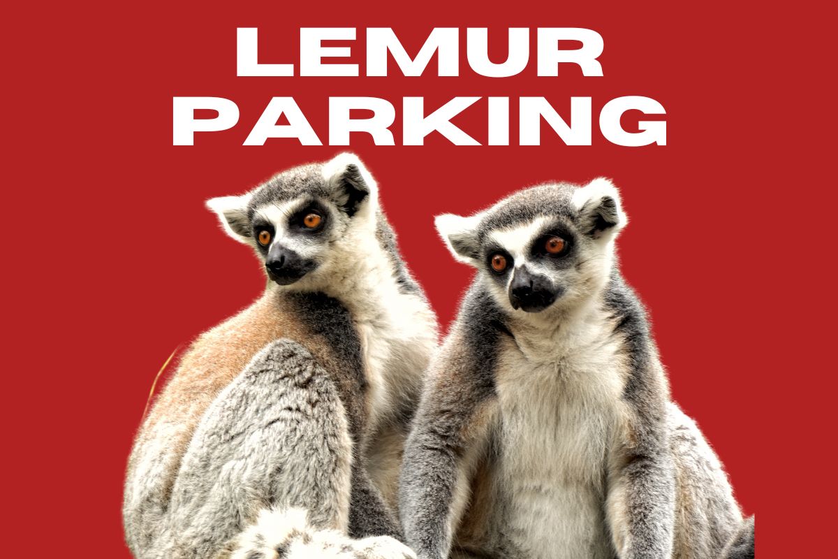 Parking - Historic Downtown Sanford