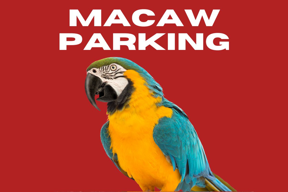 Parking - Historic Downtown Sanford