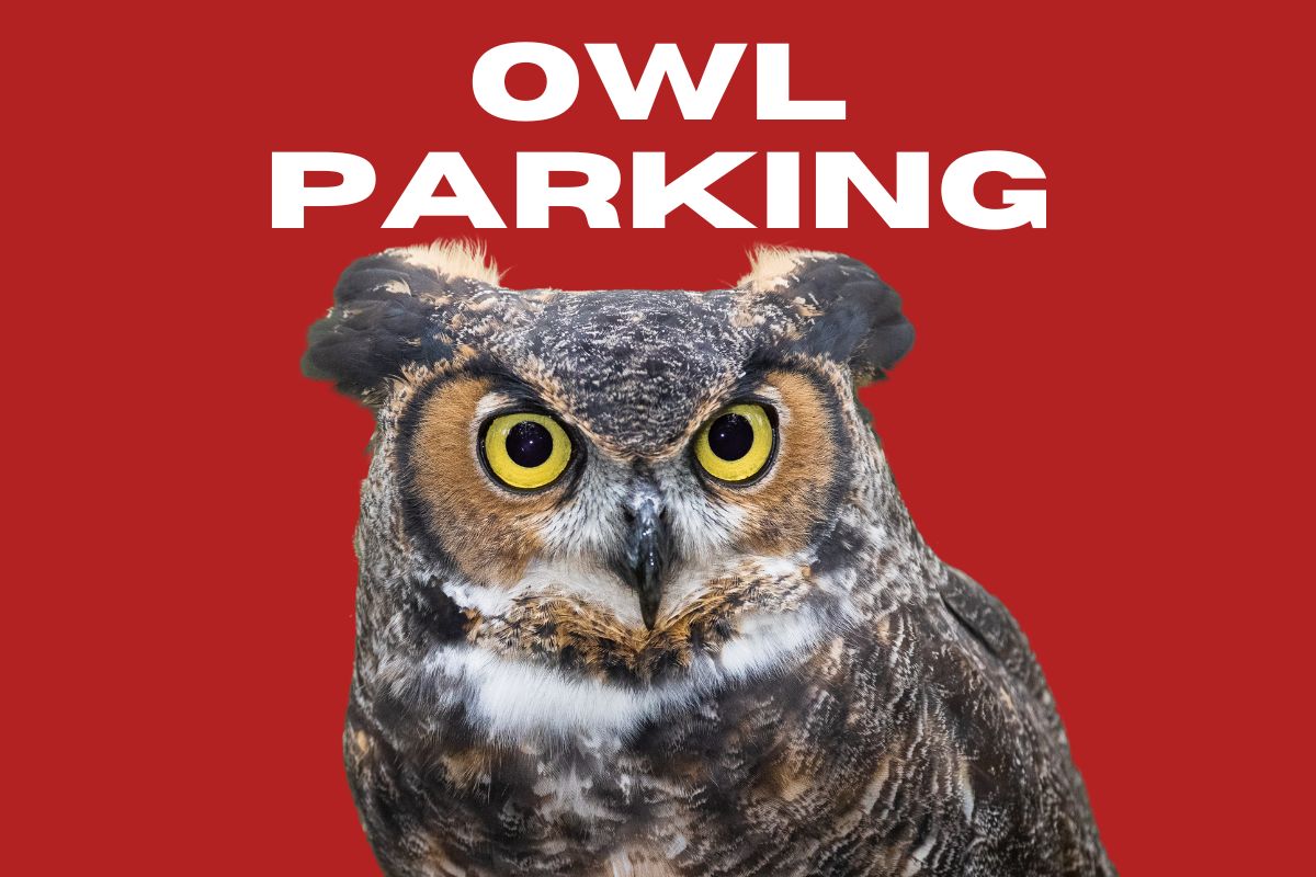 owl-PARKING - Historic Downtown Sanford